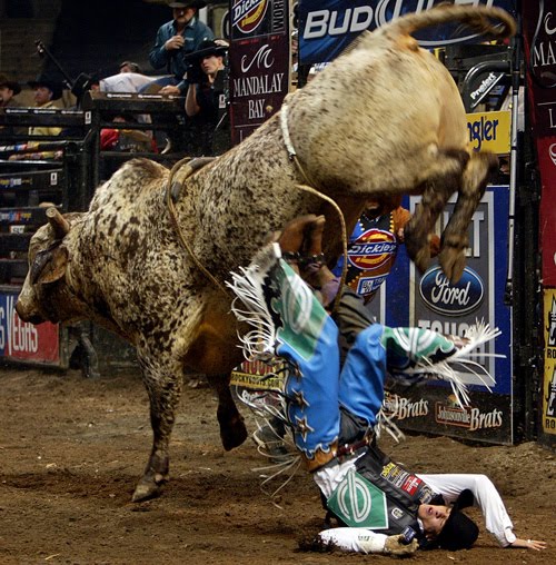 Compartiendo mi opinión: Rodeo Profesional de Toros: la apuesta segura ...