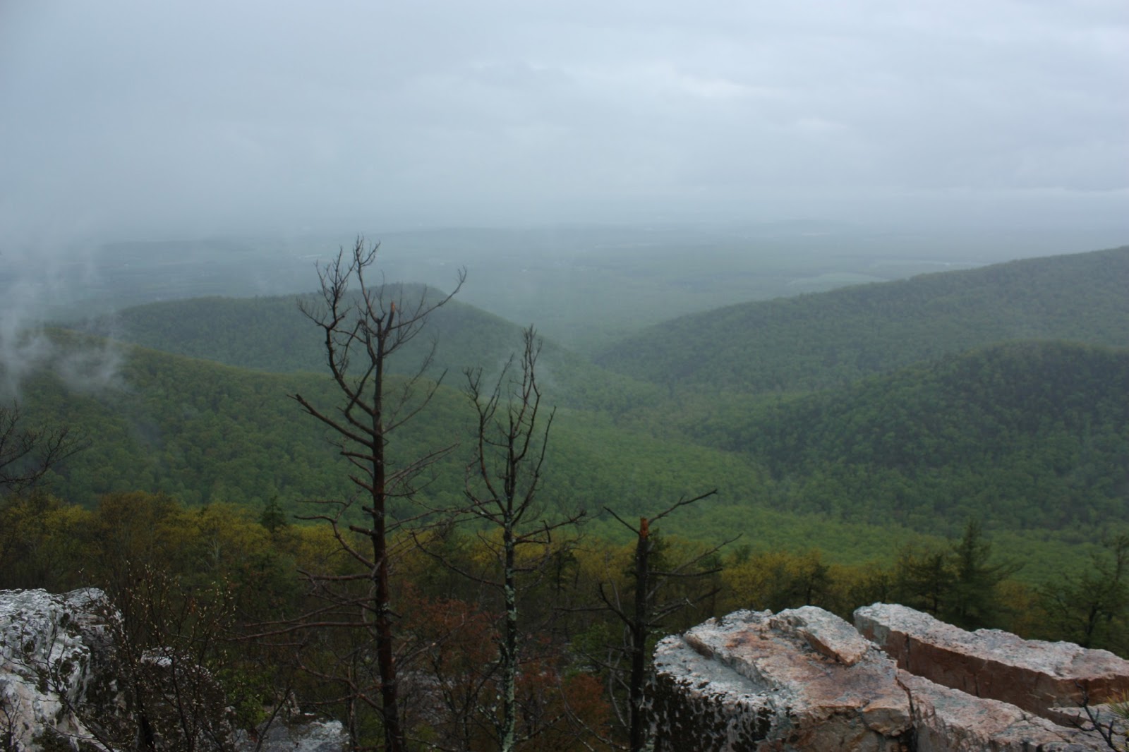 Hiking Shenandoah: Riprap Trail