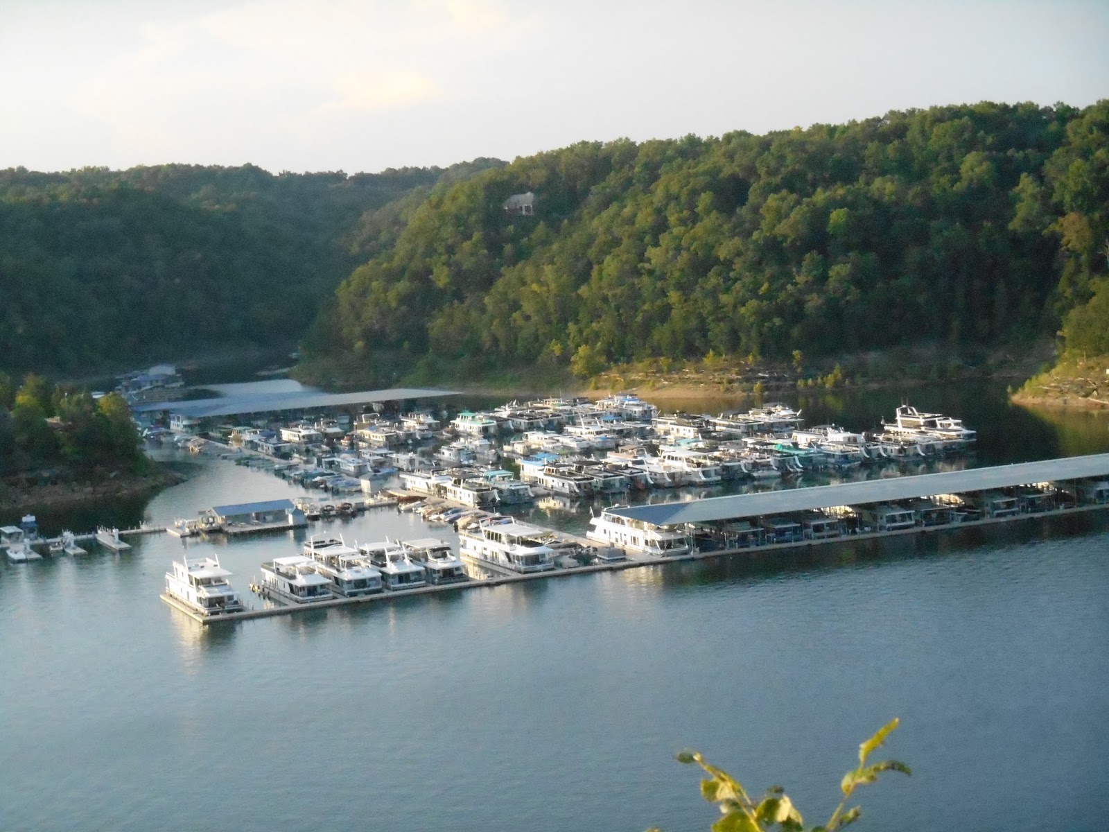 Rocking Thru the World: Of Deer and a Dam (Lake Cumberland, Day 4 ...