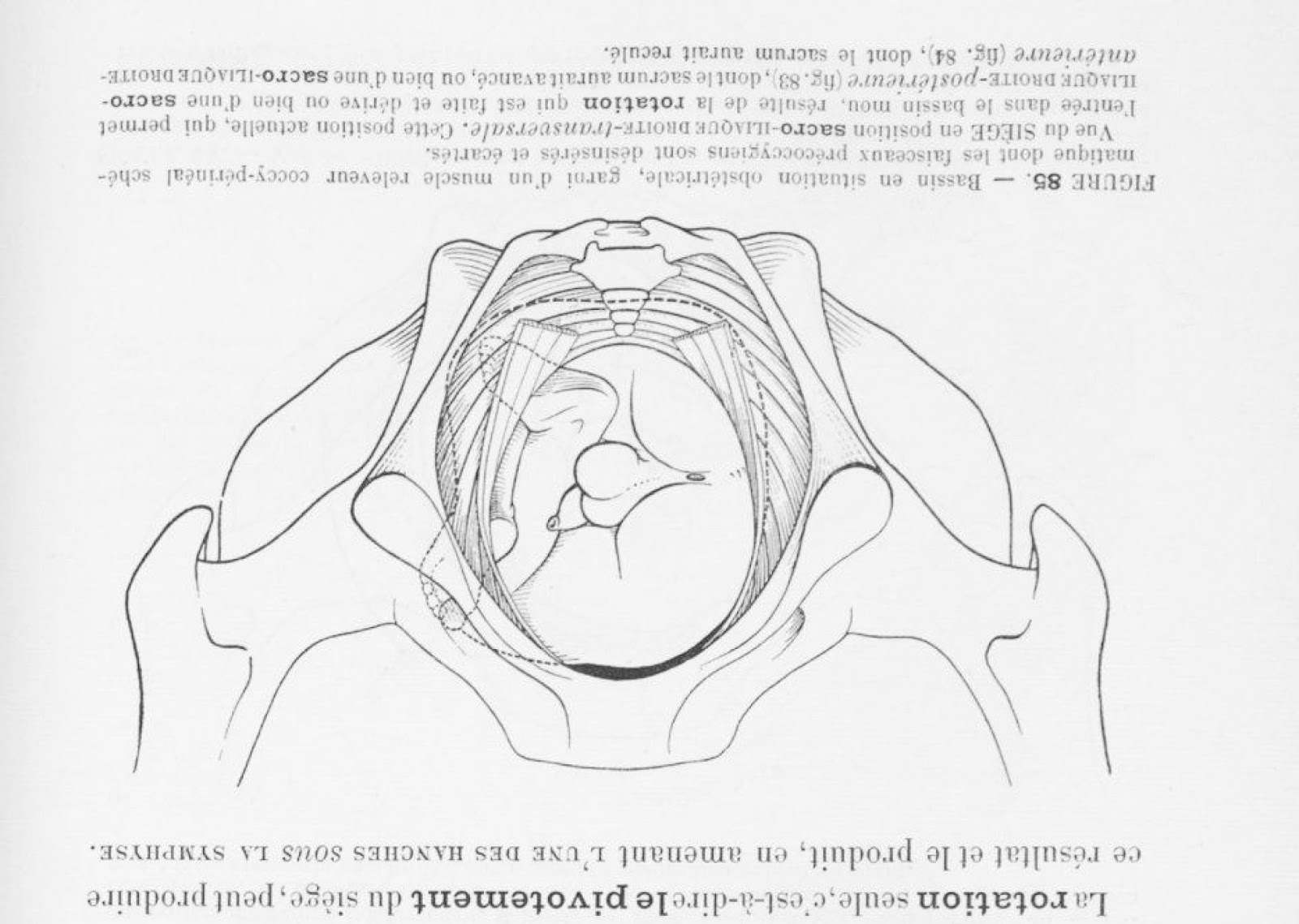 Stand and Deliver: Illustrations of the breech mechanisms from a 1908 ...