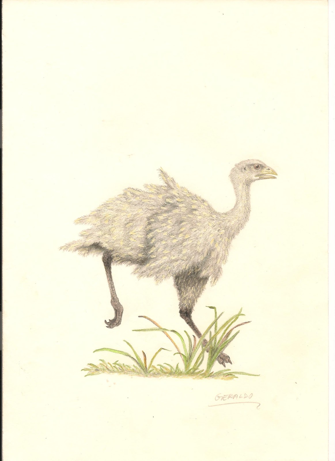 MiBound's Ultimate Extinct Animals Wishlist - Page 4 - The ZT2 Round Table