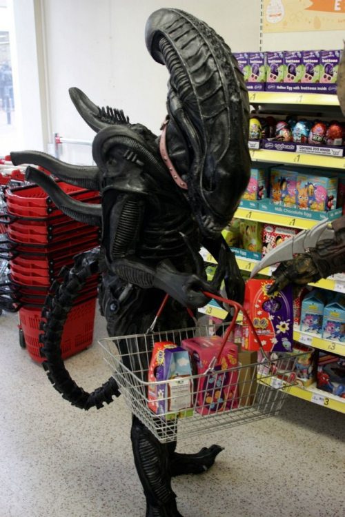Alien Loves Predator | Tops Entertainment
