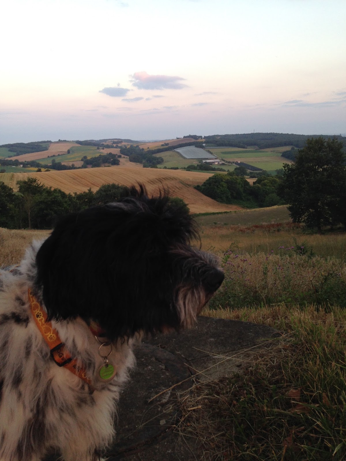 Sophie's absolutely wonderful Scots Adventure .: Canoodling.