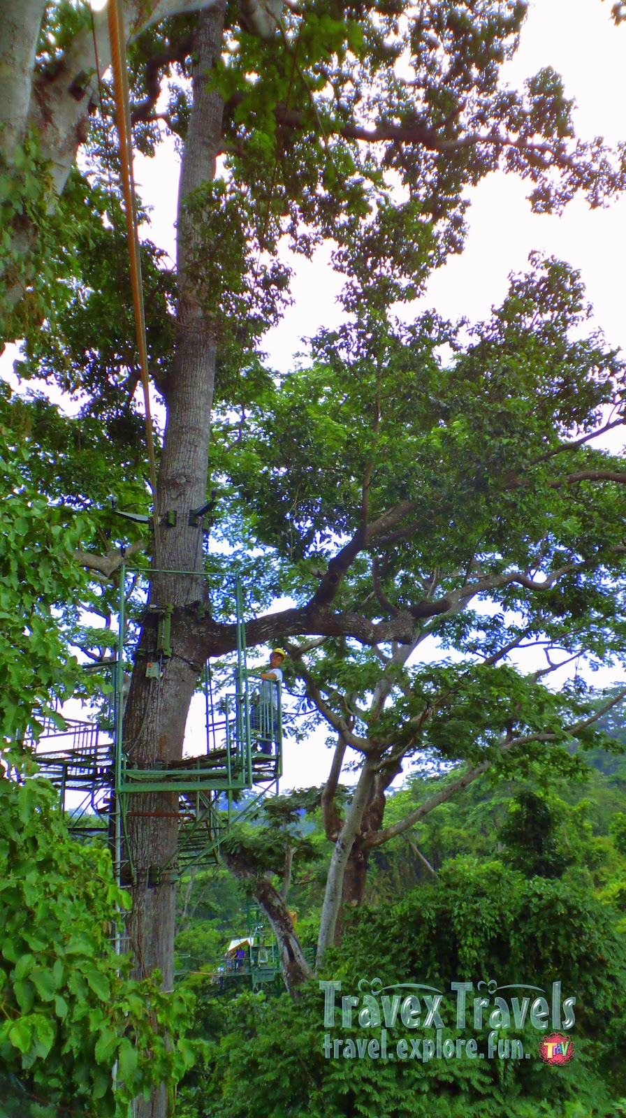 Tree Top Adventure & Subic Yachts - Travex Travels - Travel. Explore ...