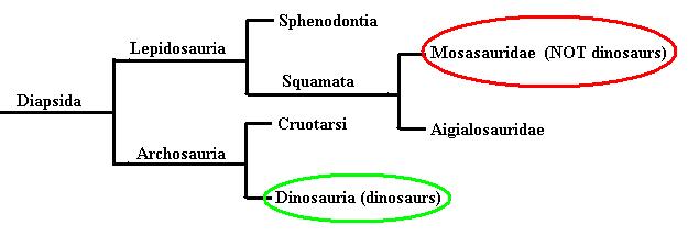 Superoceras: Things that are not dinosaurs: Mosasaurs