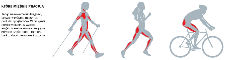 Make Life Perfect: Fit: Nordic Walking