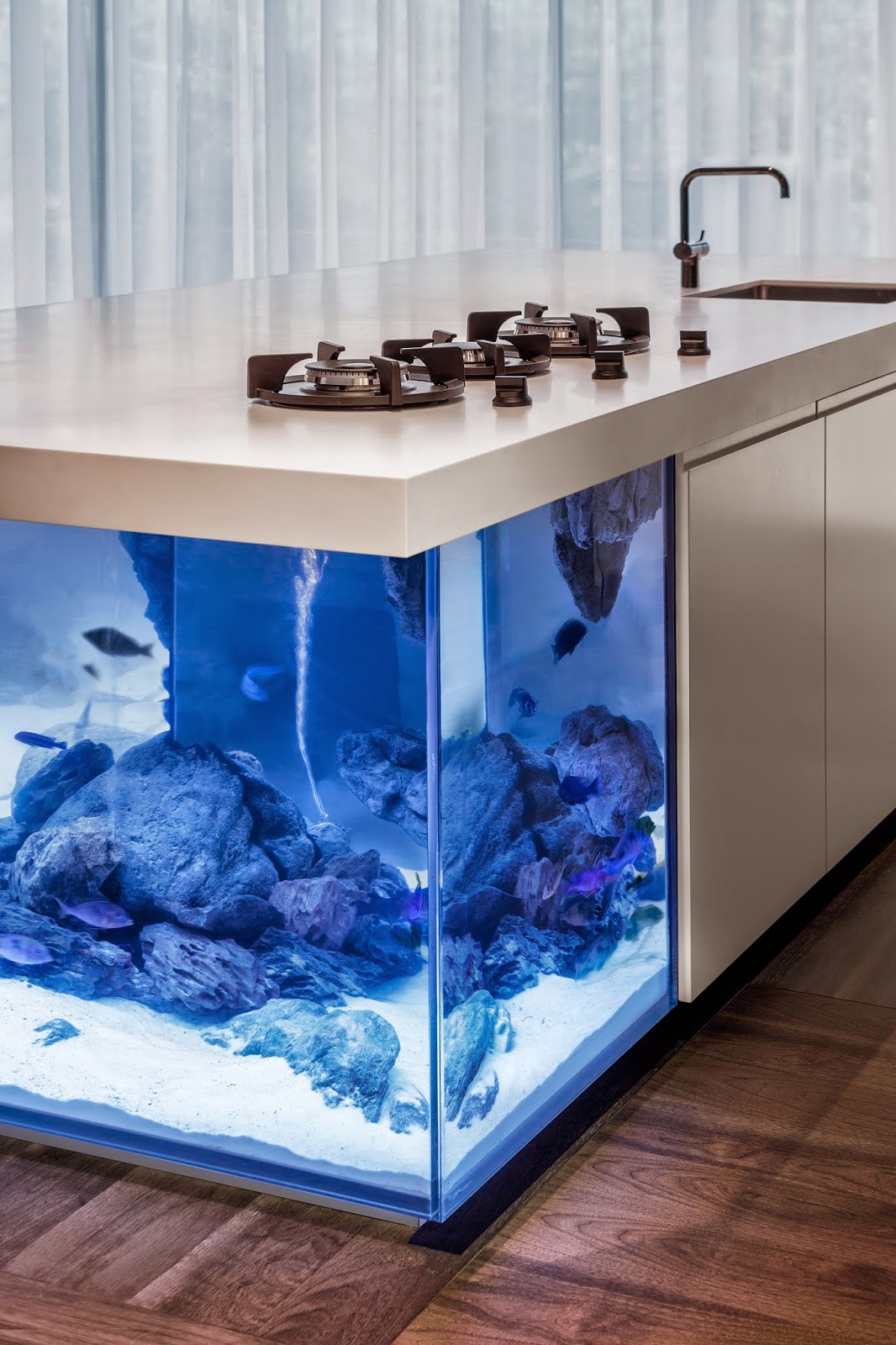 PITT Cooking | Designaresse