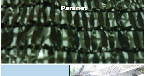 Manfaat, Fungsi dan Kegunaan Paranet (Shadding net) | 081232584950 ...