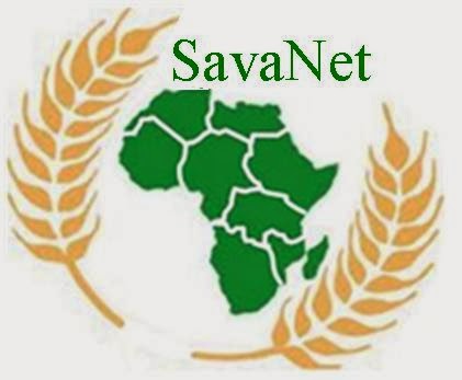 THE SAVANNAH YOUNG FARMERS NETWORK (SAVANET): An Article on factors to ...