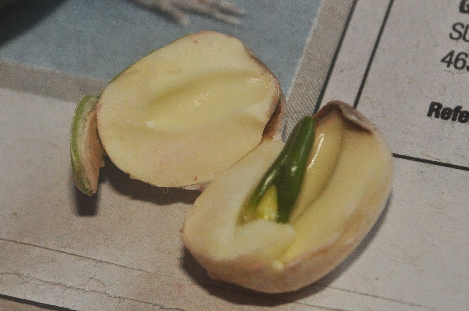 Love is all around: Khasiat Bunga /Buah Teratai