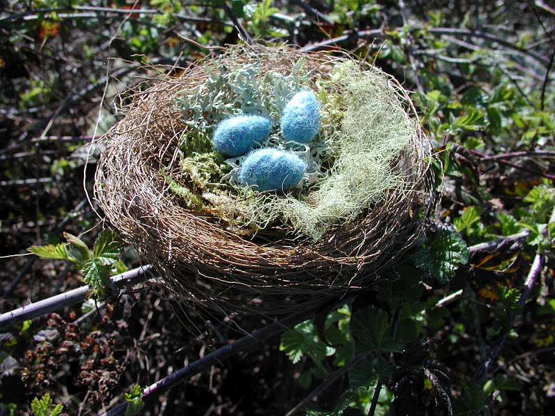 Blog Giveaway at Wooly Moss Roots! - A Mountain Hearth