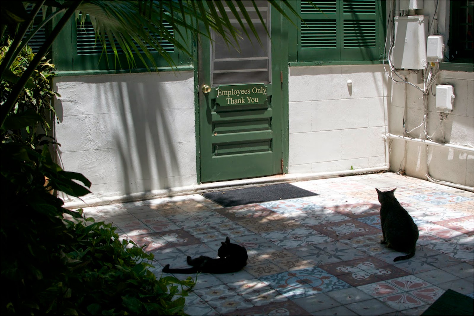 Thousands of Cadillacs: Honeymooning In Key West Part 3: The Importance ...