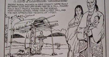 Setting the Standard for Giantology