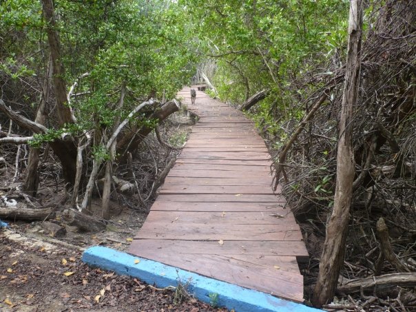 Laboratorio Marino Punta Galeta (Provincia de Colón)