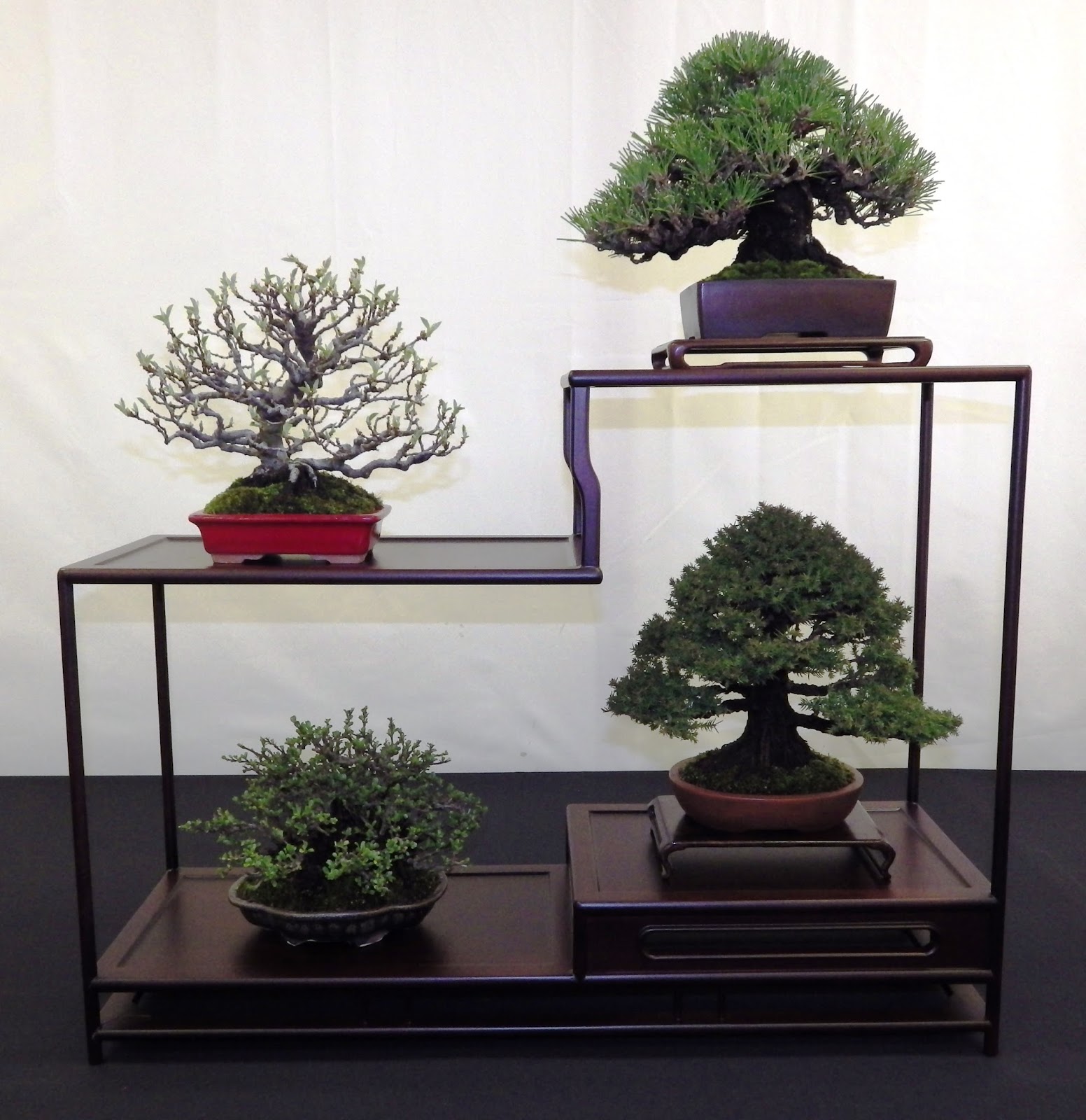 Bespoke Bonsai Stands