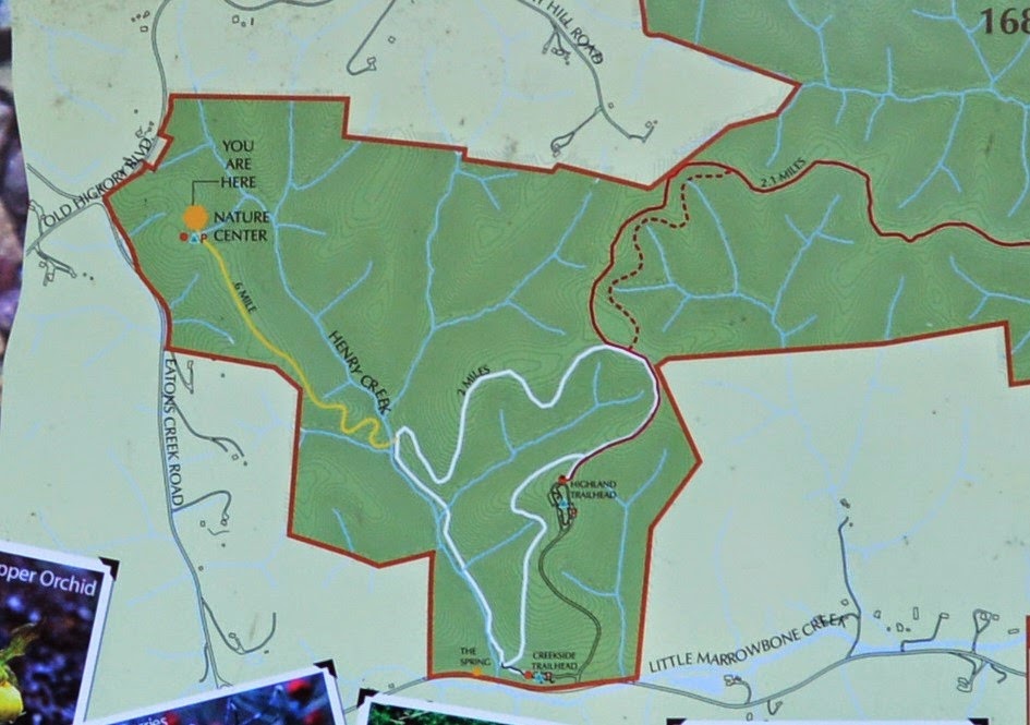 Walking Through Winter: Beaman Park in Winter