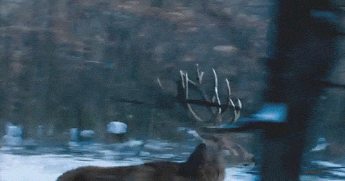 daily timewaster: Nice Rack