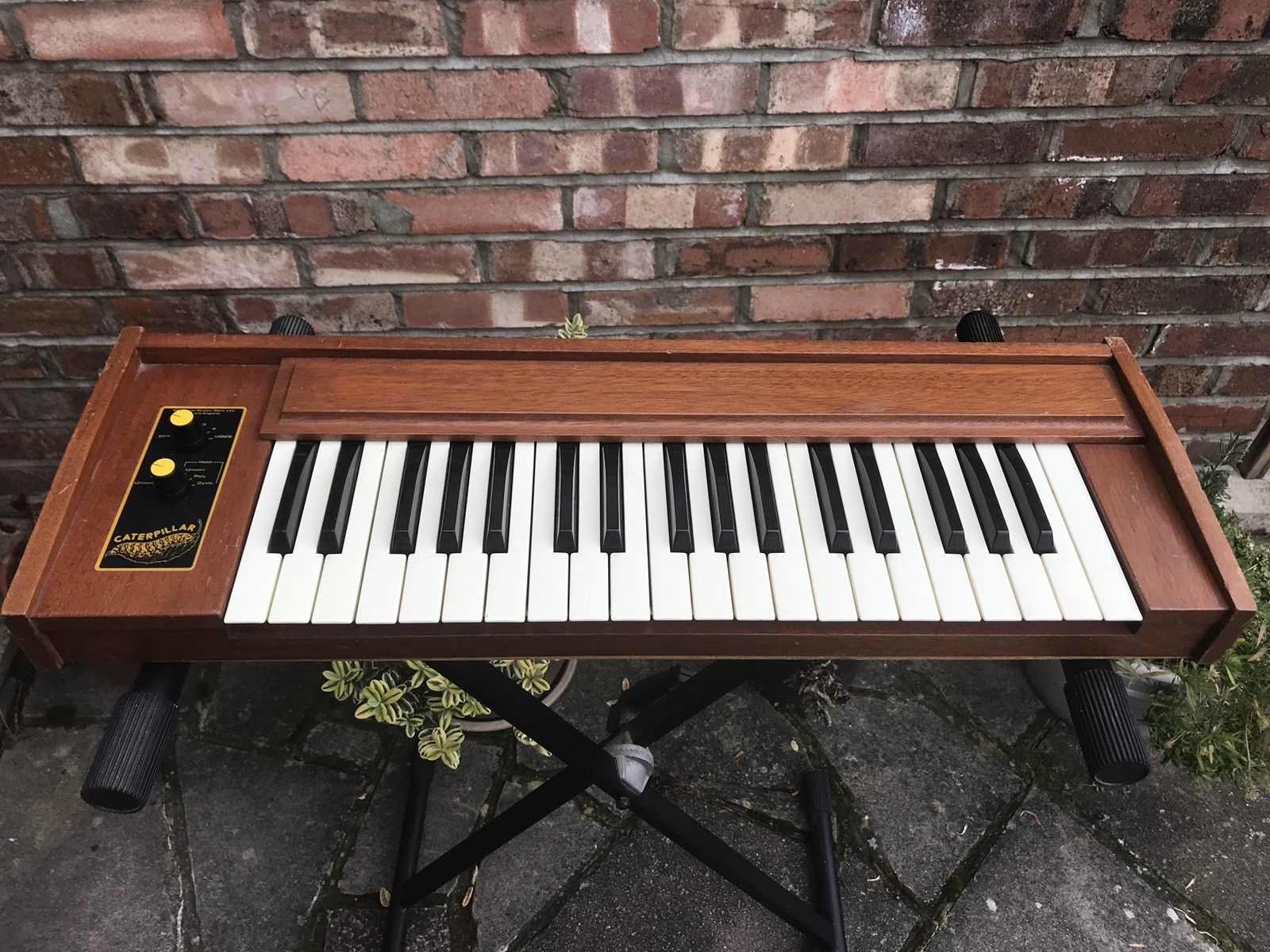 MATRIXSYNTH: RARE EDP Caterpillar for EDP Wasp Gnat Synth