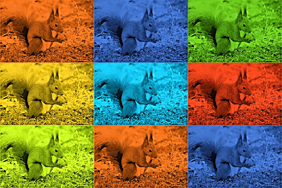 Narzędzia i aplikacje internetowe: Tuxpi