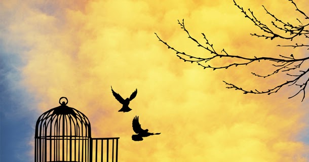 Qué significa ser consciente y la conciencia en general?