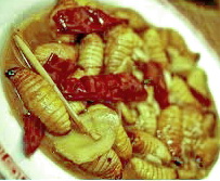 Resepi Sarawak: Resepi Ulat Mulong goreng pedas