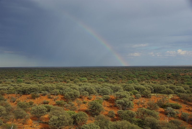 The Great Victoria Desert: The Great Victoria Desert
