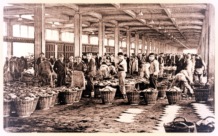 Het VOORLAATSTE ! Visserijblad: Historische foto's van de Vlaamse ...