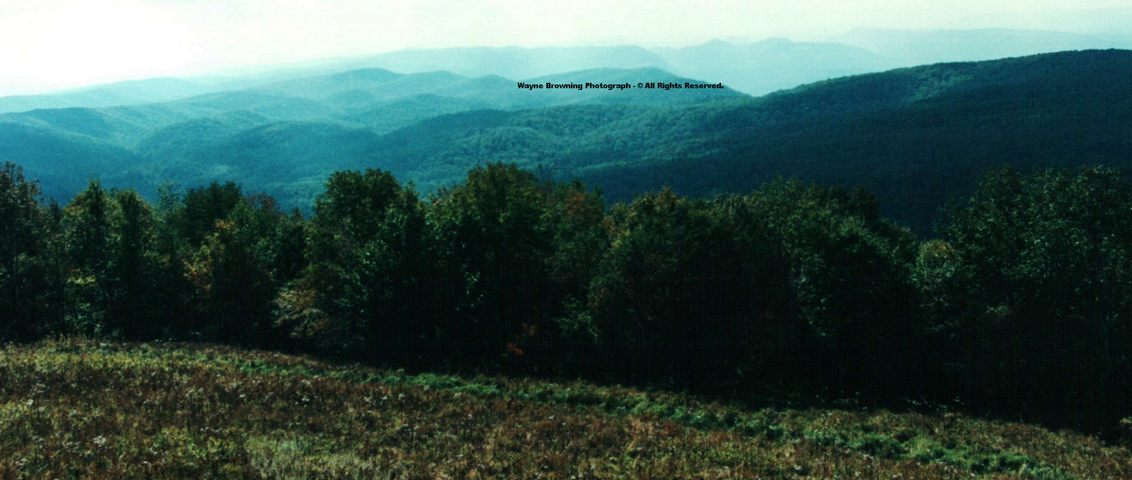 The High Knob Landform: Mid-Spring 2012 - Precious Water Supplies