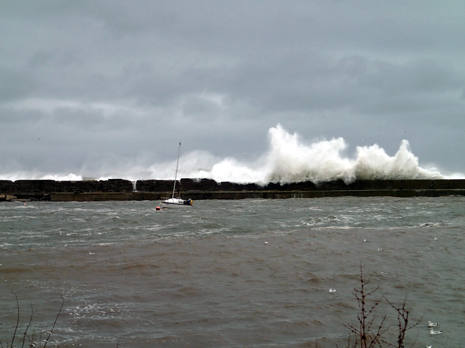walking the rainbow trail: Sandhaven Harbour