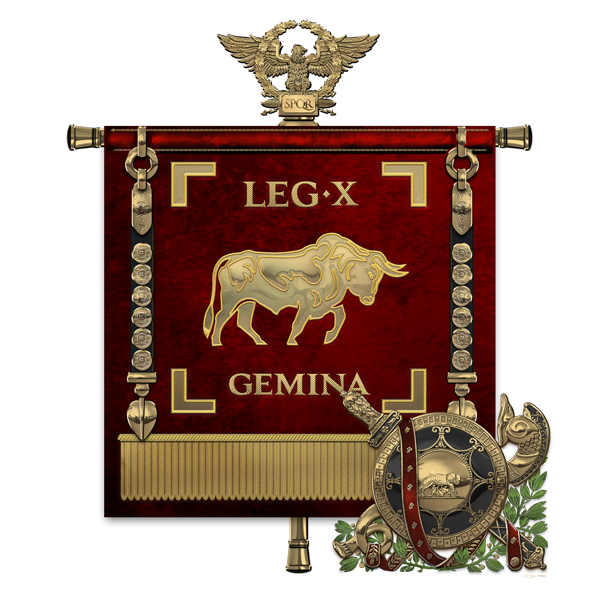 Military Insignia 3D