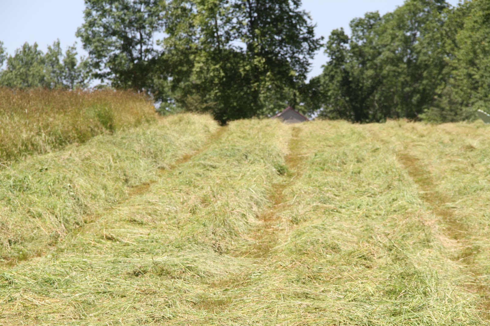 Making Hay and other stuff – This Old House 2