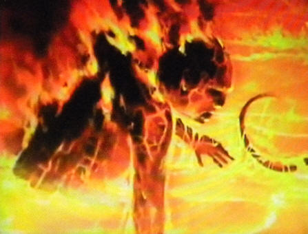 A Layman Looks at the Word