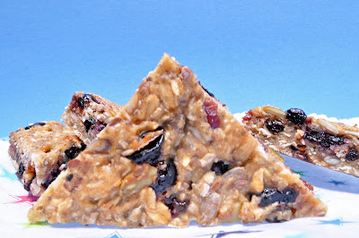 All That's Left Are The Crumbs: Fruit and Seed Tri Bars