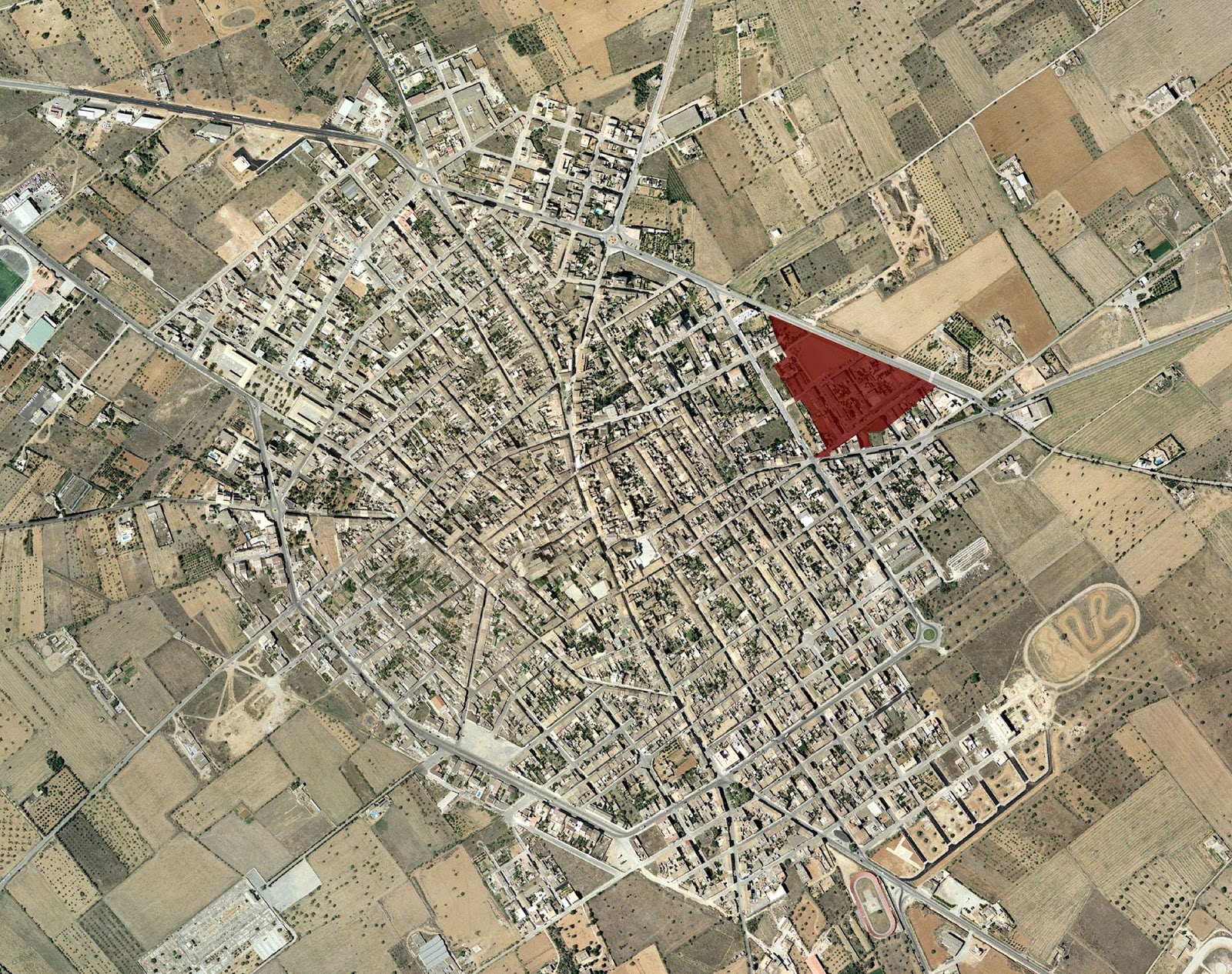 Martín . Moya . Oliver . Reina – a f a s i a