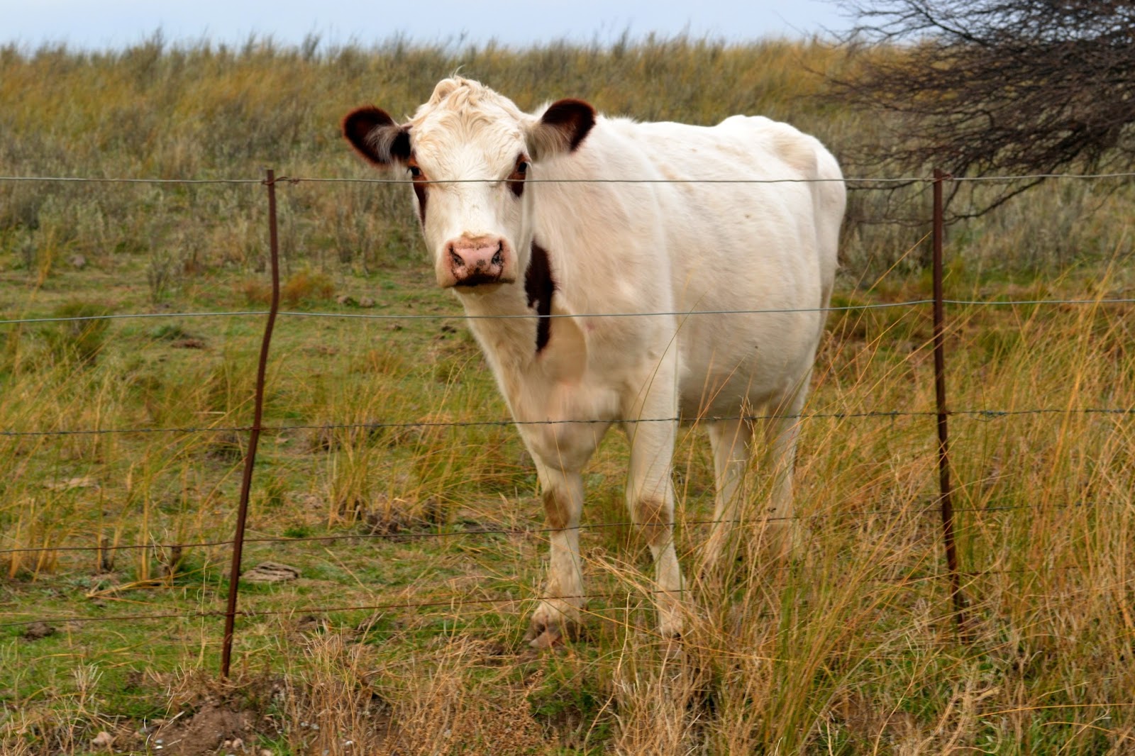 Claudio Tomassini: Médanos - Claudio Tomassini Fotografía