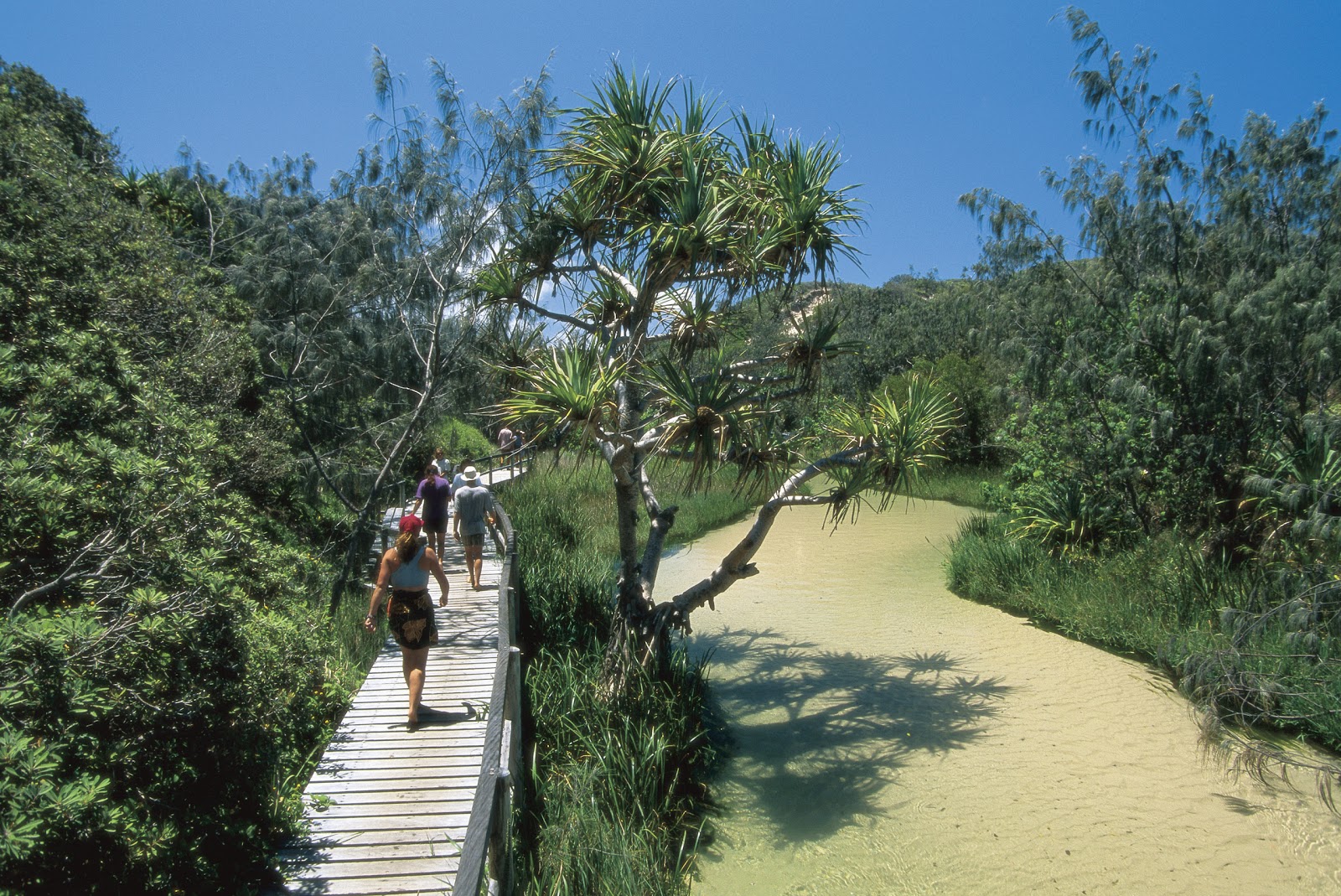 Sunlover Holidays: Top 10 attractions on Fraser Island