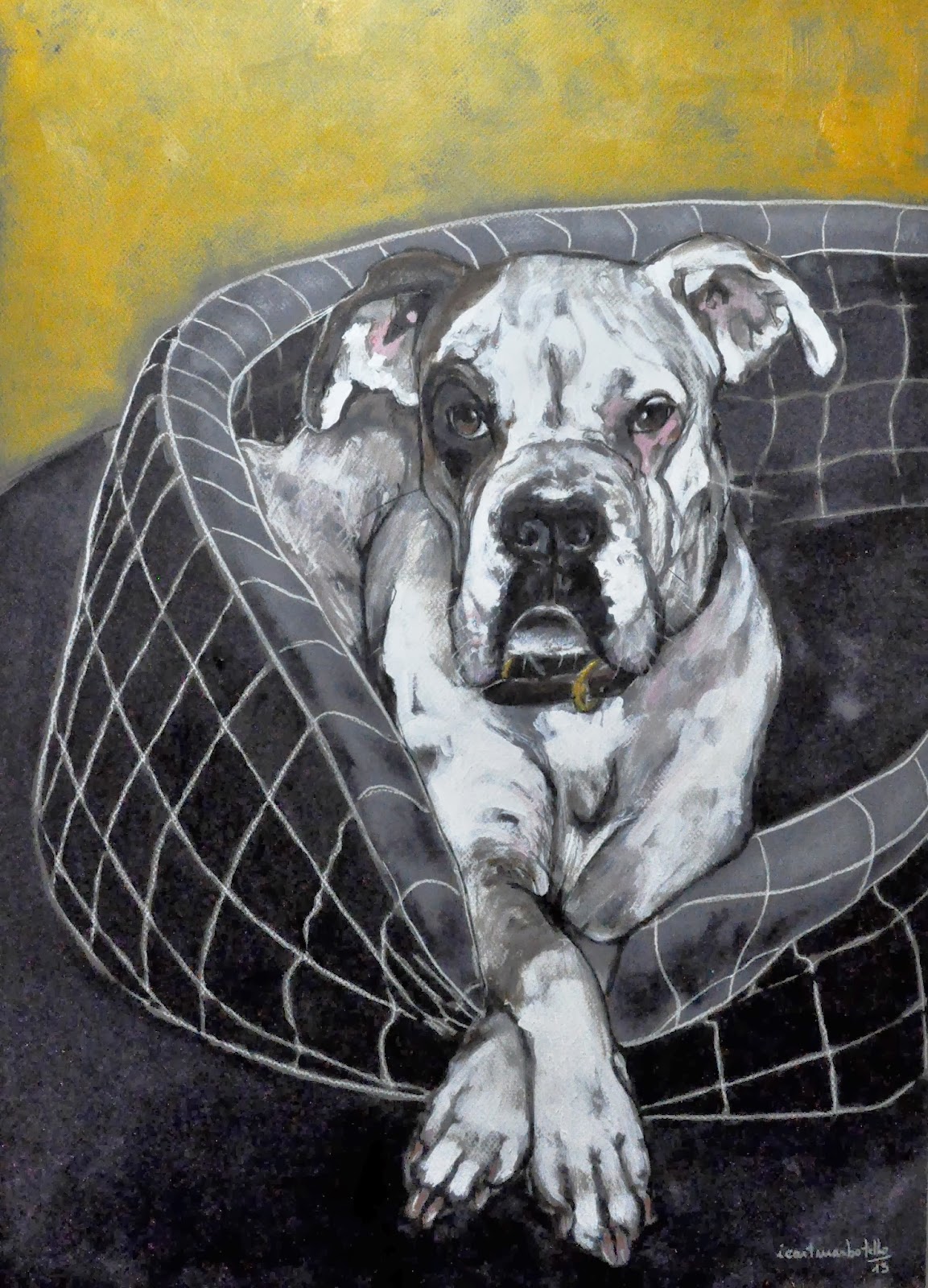 Portraits- "Retratos com História"- Isabel Contreras Botelho