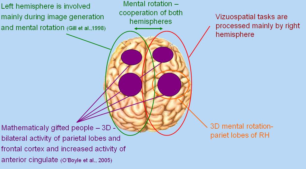 Cognitive Modeling Secrets Of The Brain Mental Rotation Task