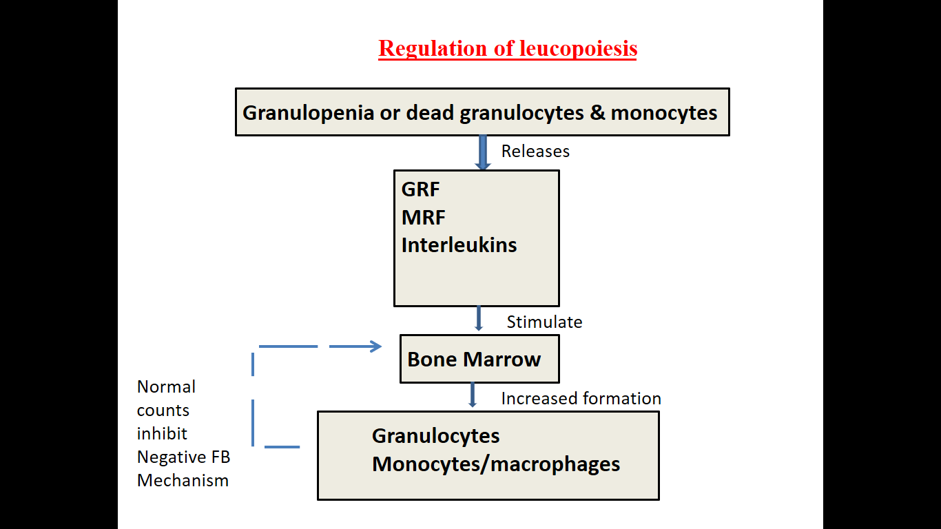 Mrdc Notes: PHYSIOLOGY BLOOD UNIT 6