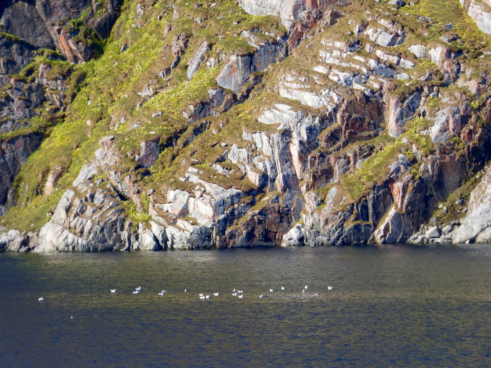 Half and Half Adventures: A magical Day in the Canadian Arctic: Polar ...