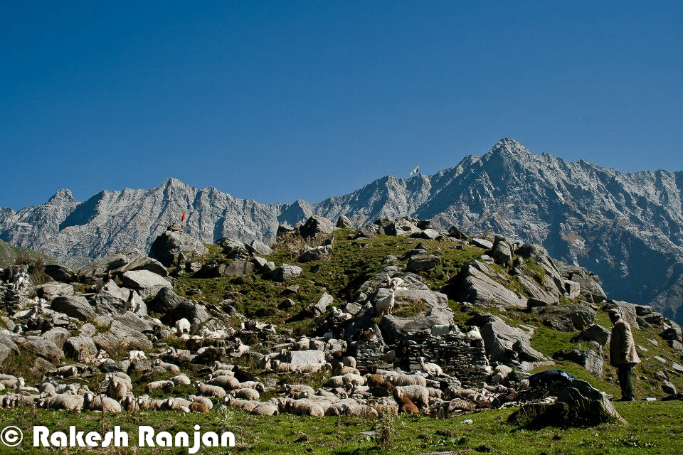 Let's Trek to Triund with Rakesh Ranjan || One day trek to Triund from ...