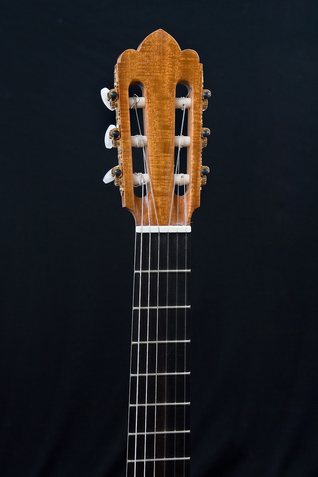 Guitarras custom construídas por Rodolfo Cucculelli, Luthier ...