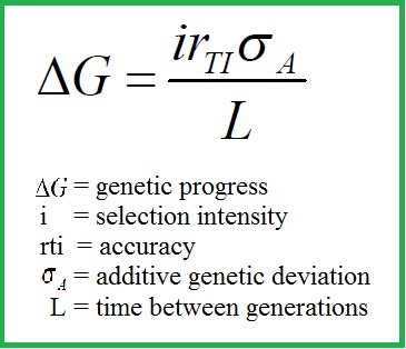 Animal science: 2012