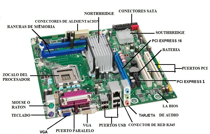 Ensamblaje de la computadoras y sus Partes Basicas de la Placa Madre ...