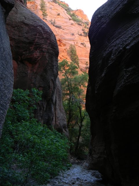 My Own 100 Hikes: Hike 2011.038 -- Spring Creek Canyon Wilderness Study ...