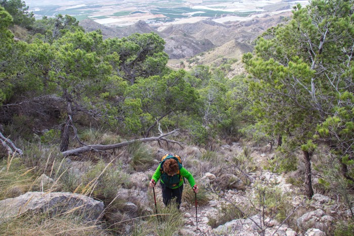 CERRO DEL AGUDO DESDE LOS VIVES