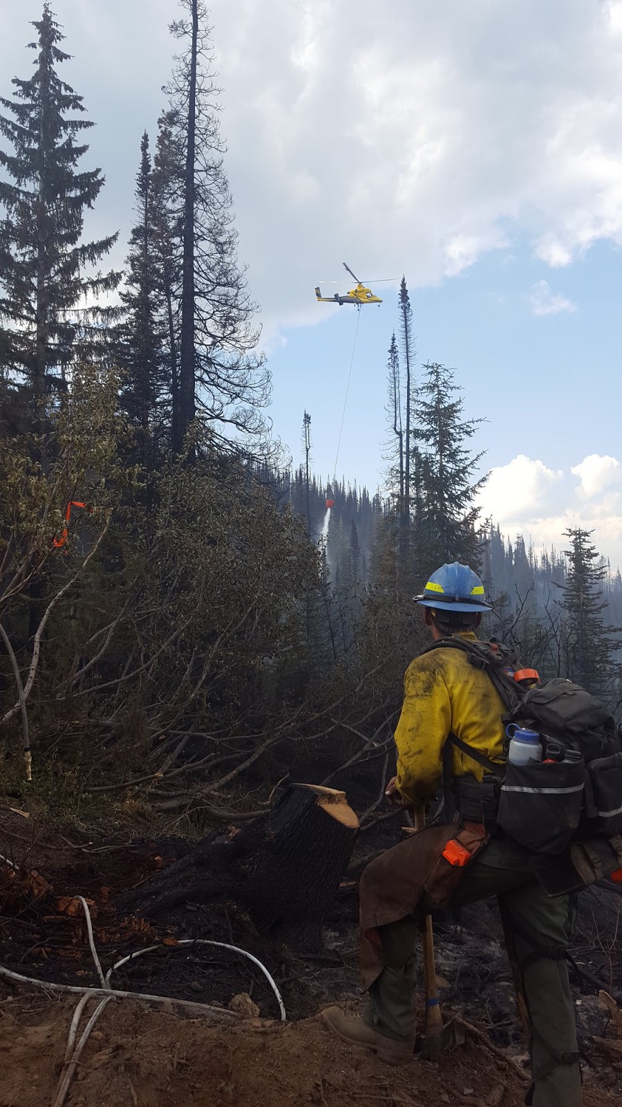 Colorado Wildfire Information: Becoming a Wildland Firefighter