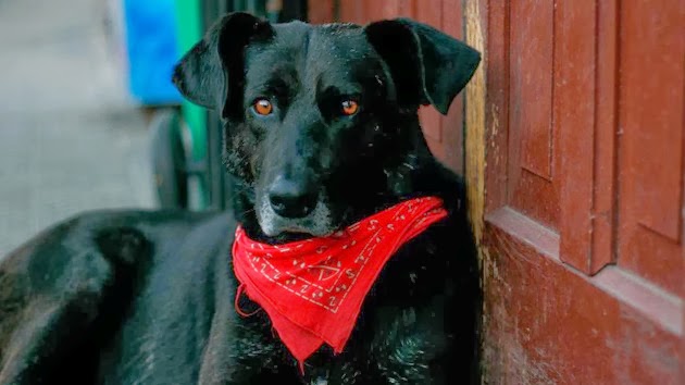 CIRCULO DE ESTUDIO " BRUJULA METROPOLITANA": 2013