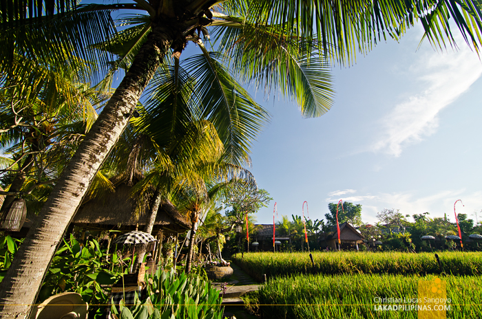 INDONESIA | Bebek Tepi Sawah Villas, an Ubud Retreat - Lakad Pilipinas