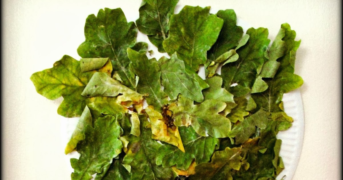 Sun Hats & Wellie Boots: Autumn Stick Trees made with Paper Plates